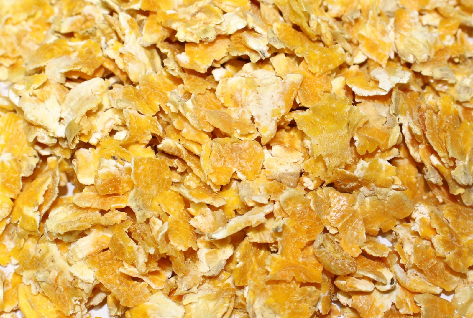 Flaked Maize Rolled - Extruder Machines And Animal Feed Factories ...